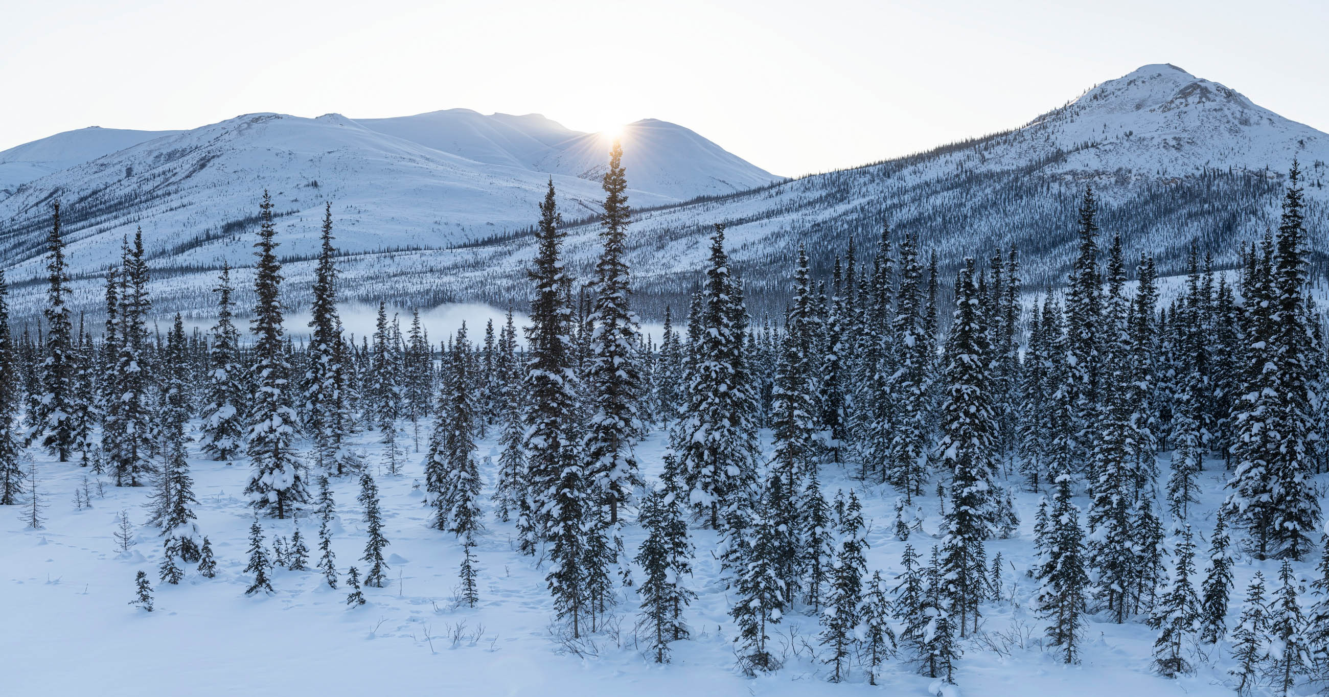 Arctic Circle Adventure Travel Alaska